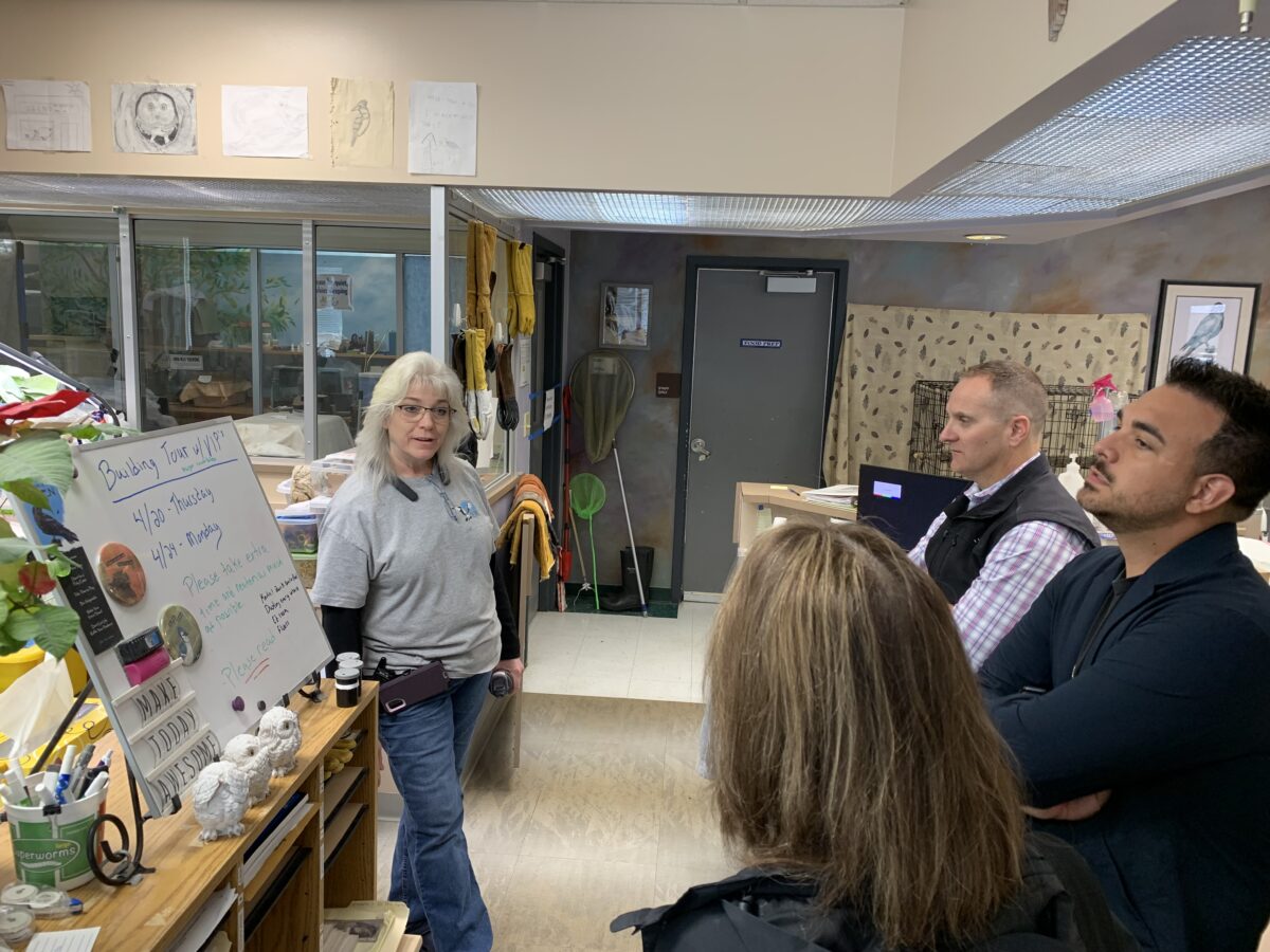 ‘Wild Spirit’: Documentary profiling WRCNU’s eviction and move to ...